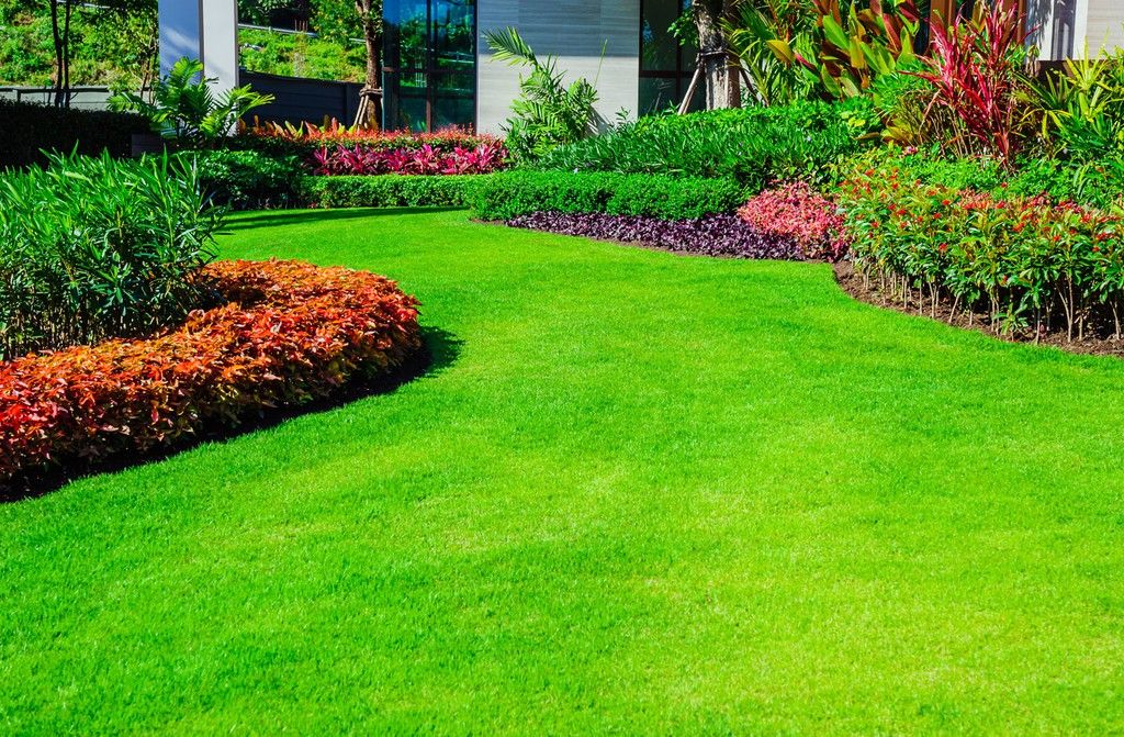 Arbustos Para Ideas De Paisajismo Para El Frente De La Casa