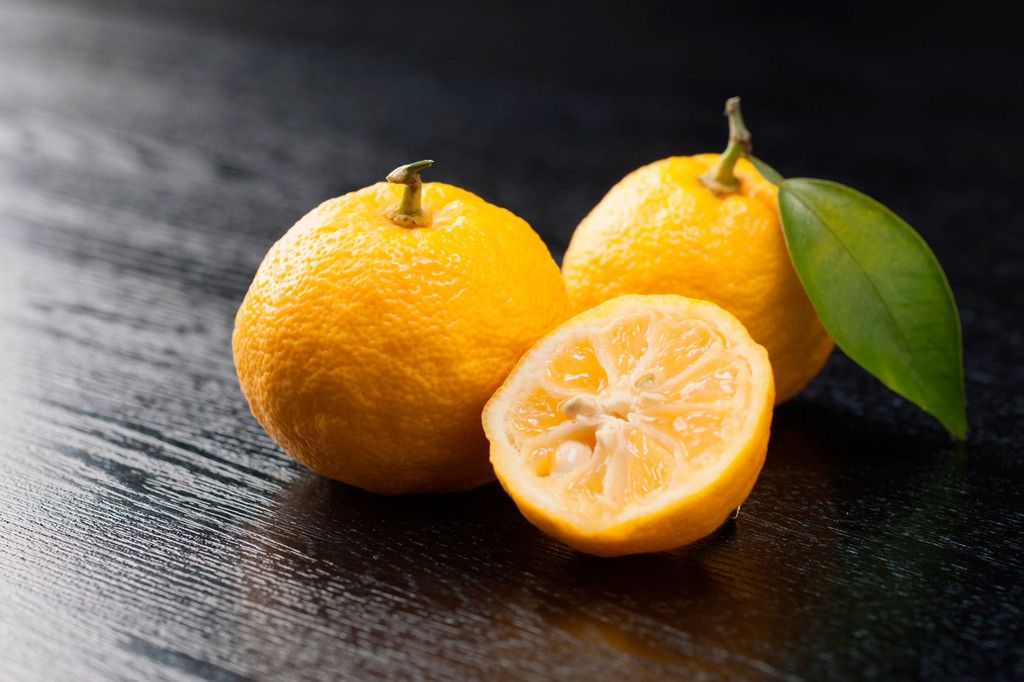 Plantes de citron Yuzu - Citrus x junos — Plantamus Pépinière en ligne