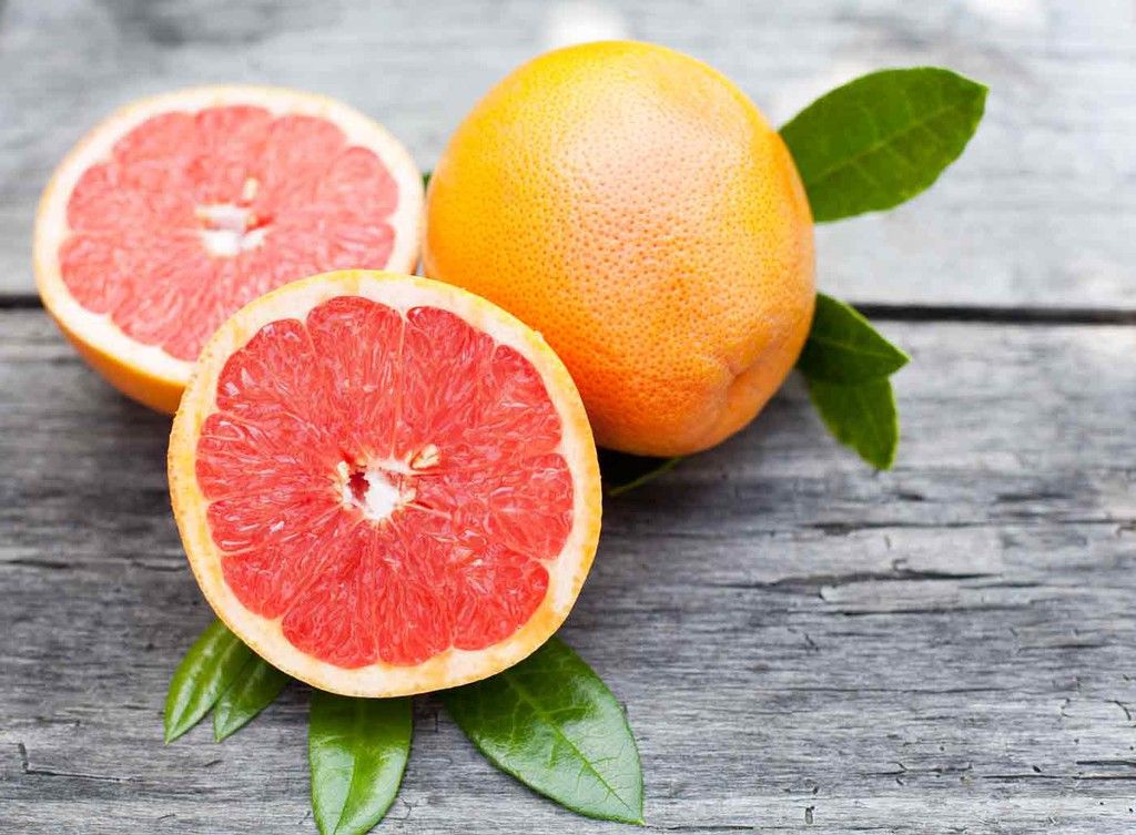 Arbres fruitiers exotiques : plants de pamplemousse à vendre ...