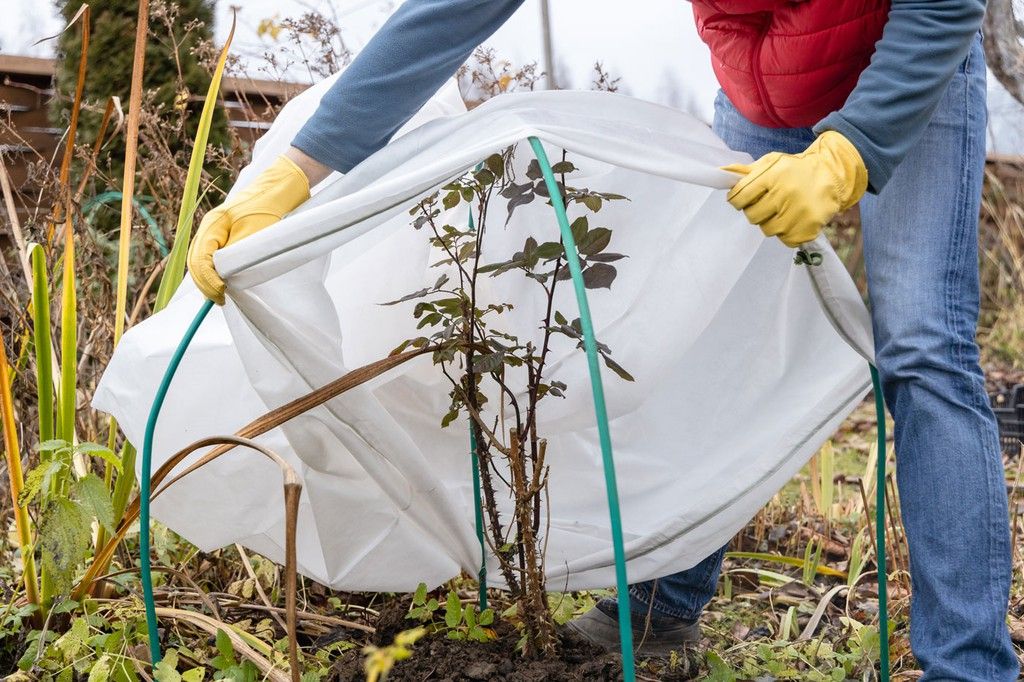 Protection des plantes et des cultures — Plantamus Pépinière en ligne