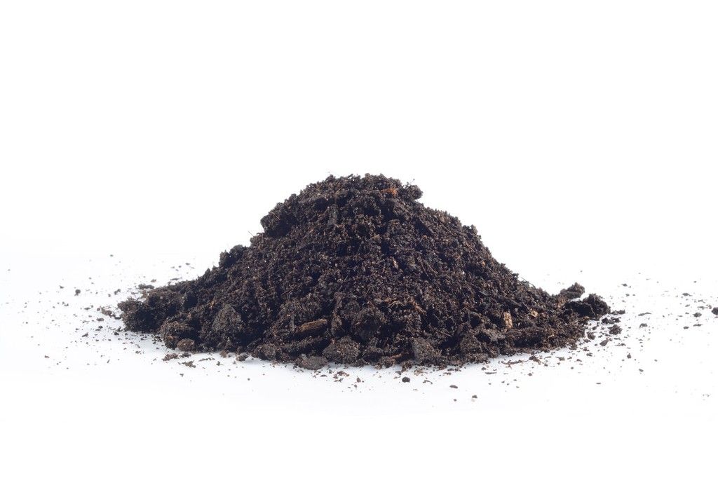 Jardinagem e pomar: Venda de substrato em nossa loja — Plantamus ...