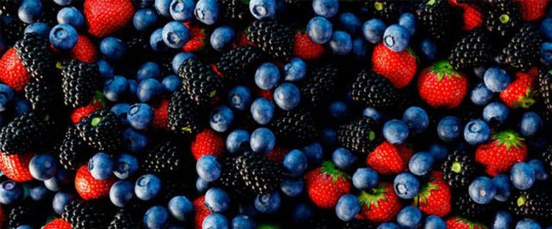 Plantamus Vivero online