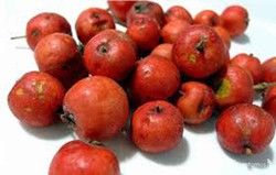 Venda de plantas Acerolo vermelhas. Acerolas, fruto do passado ...