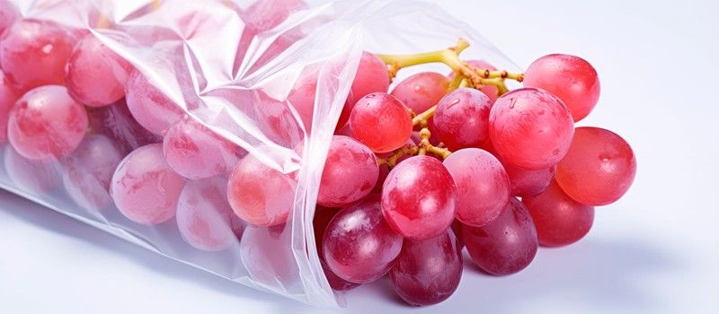 Parra de uva roja Ruby sin pepitas — Plantamus Vivero online