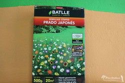 Tipos de cesped: Semilla de prado japones — Plantamus viveros online