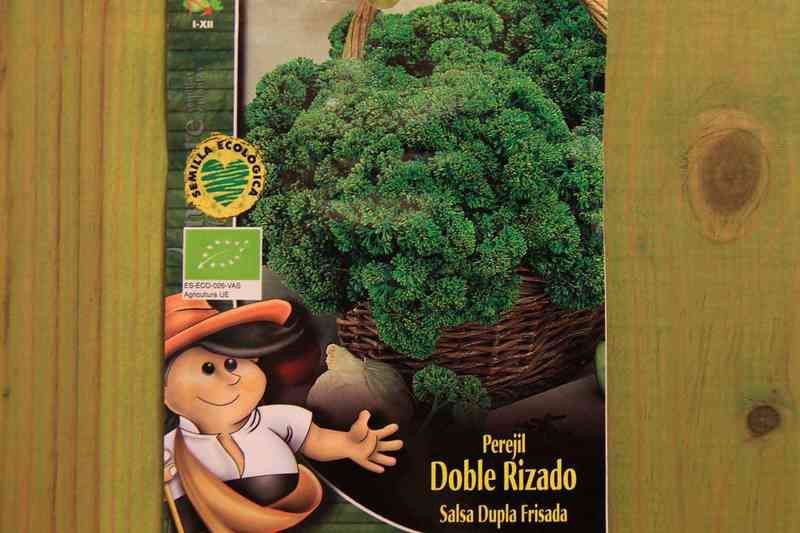 Semilla ecológica de perejil doble rizado verde oscuro — Plantamus Vivero online